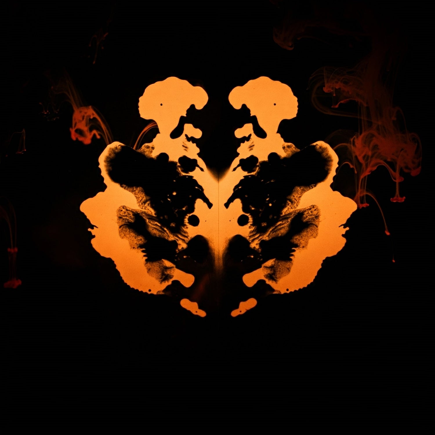 Rorschach's Mask: The Science Behind the Shifting Patterns | SFXC